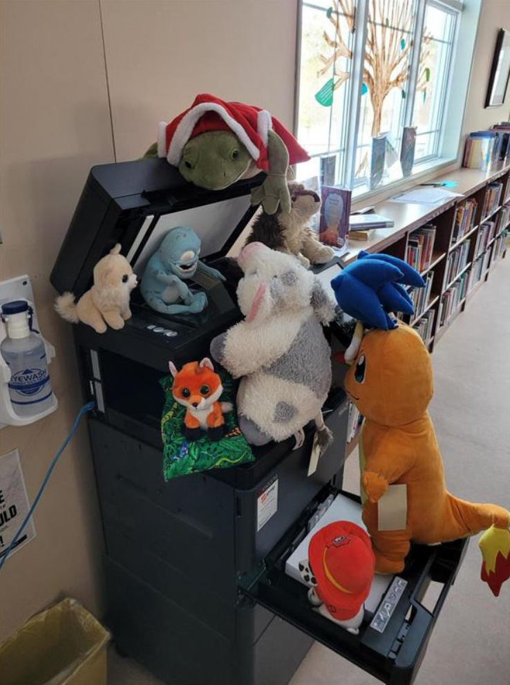 Stuffie Sleepover a huge success » Minden Times